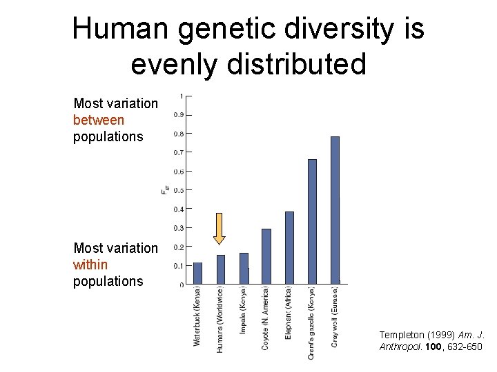 Human Genetics part II Liisa Kauppi Keeney lab