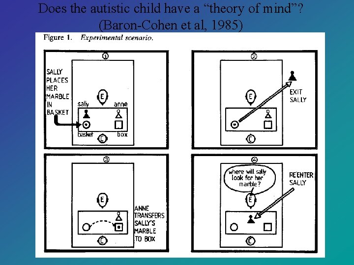 Autism and Fragile X Syndrome Genetic and Neurobiological