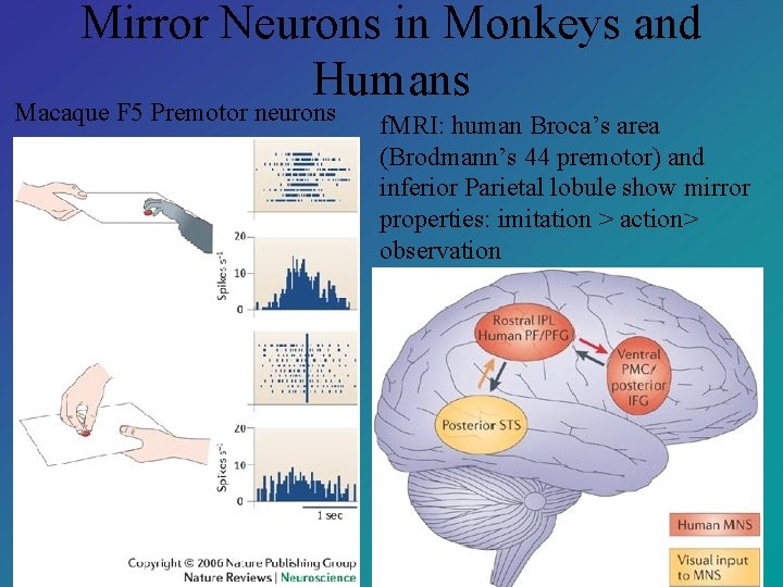 Autism and Fragile X Syndrome Genetic and Neurobiological