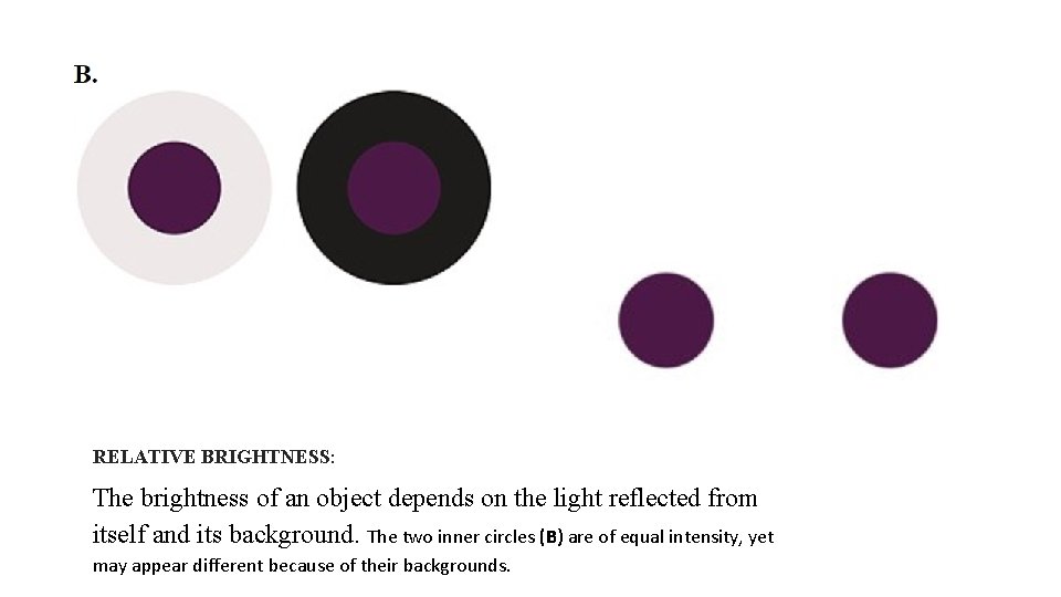 A list of several perception principles RELATIVE BRIGHTNESS