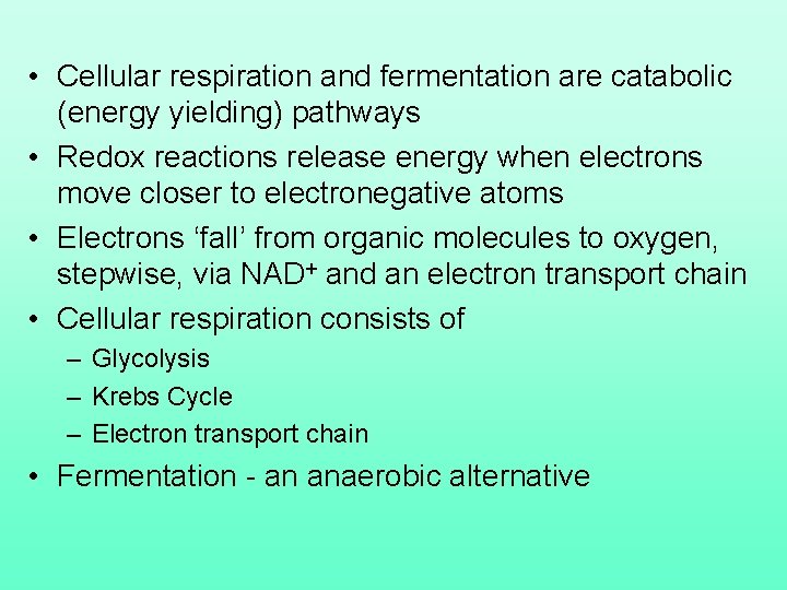 cellular respiration biology 1 Cellular respiration and fermentation