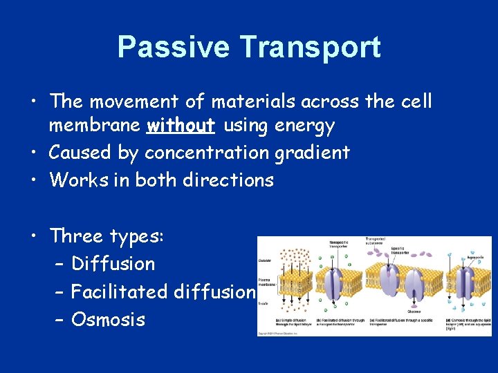 Cellular Membrane Notes About Cell Membranes 1 All