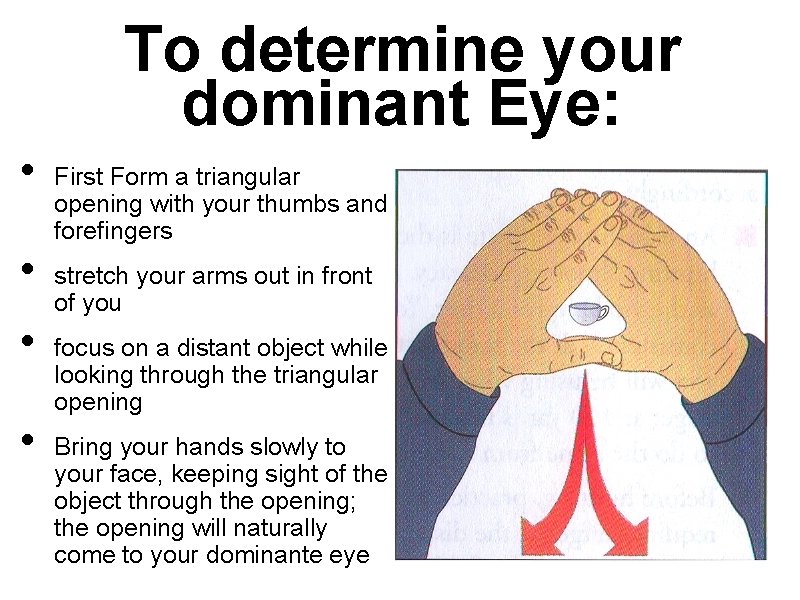 Basic Shooting Skills Objectives Importance of good marksmanship