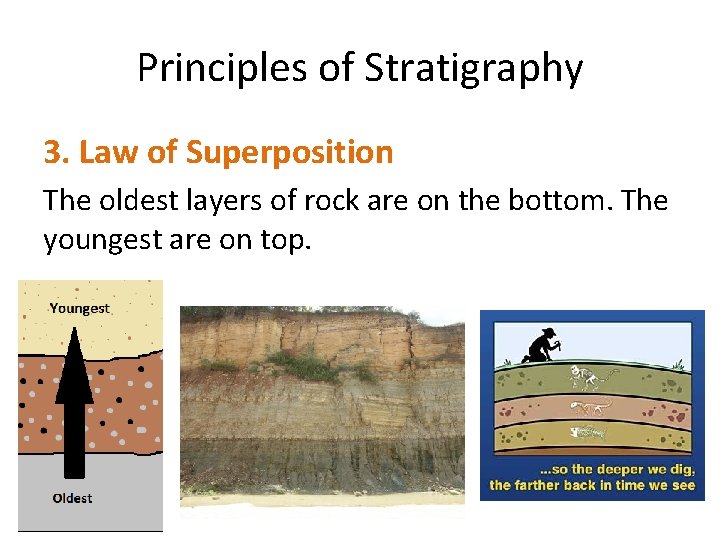 Earths History The Earth is estimated to by