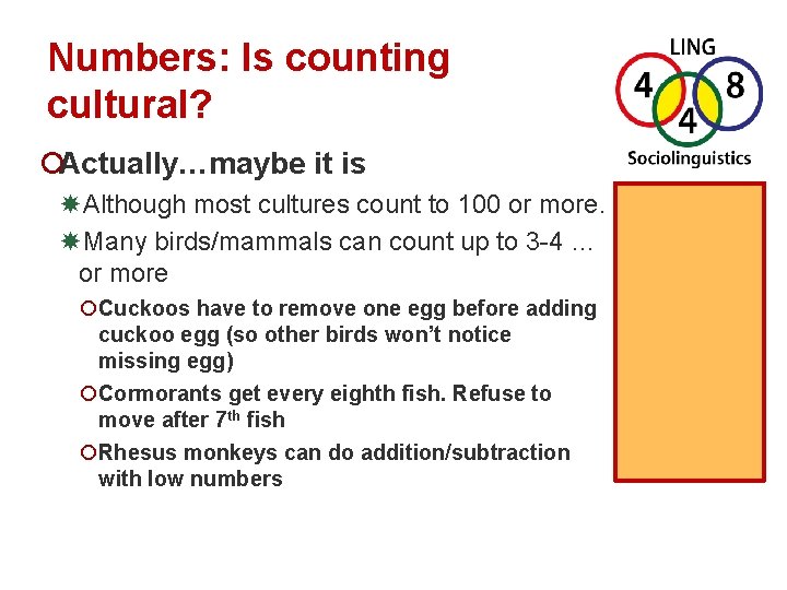Colors Numbers and Language Class 11 B Puzzle