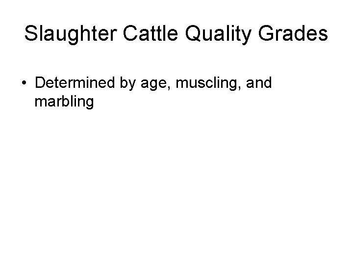 Livestock GradingEvaluation Animal Science I Animal Classes Beef