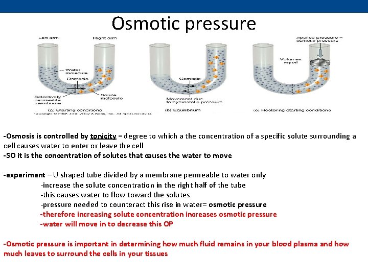 Lecture Osmoregulation and Excretion Osmoregulation balancing the uptake