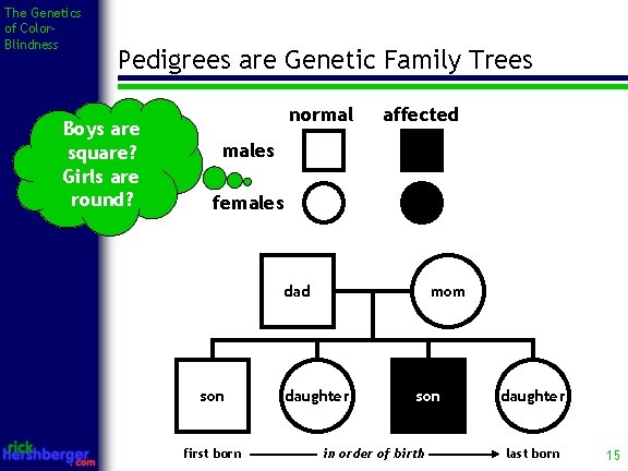 The Genetics of Color Blindness The Genetics of