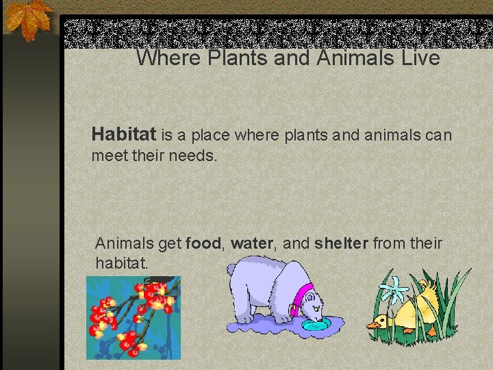 Chapter 3 Land Habitats Science 2 nd grade
