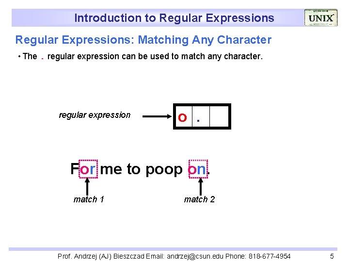 Regular Expressions Lecturer Prof Andrzej AJ Bieszczad Email
