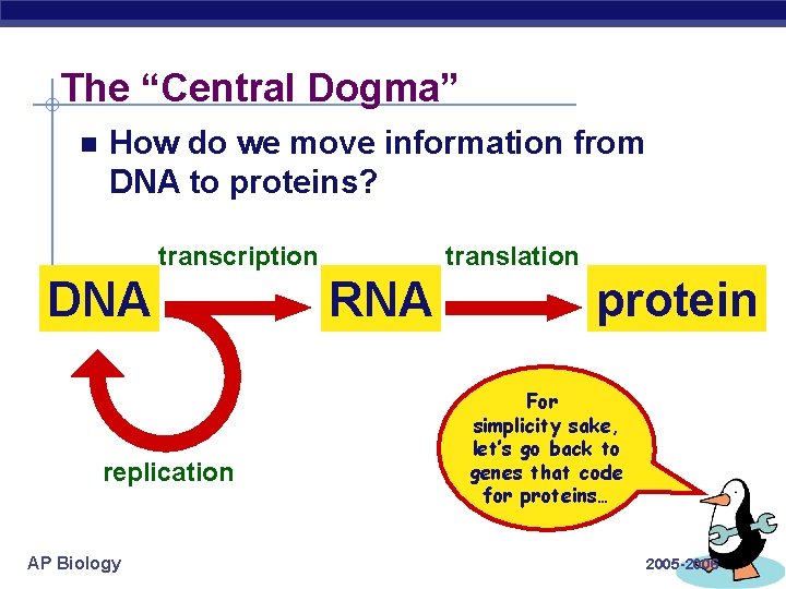 Chapter 17 From Gene to Protein AP Biology
