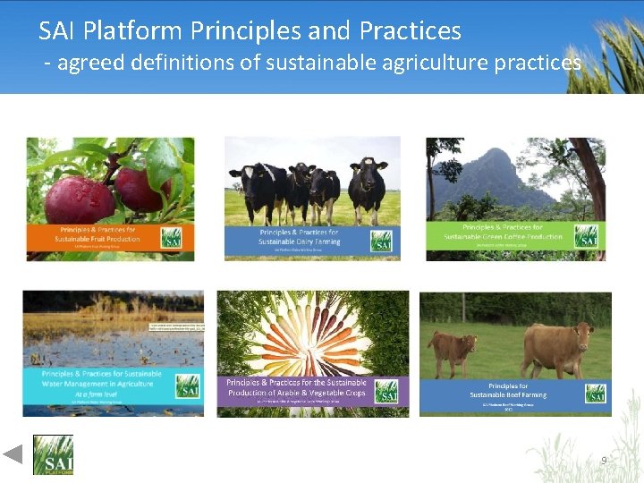 An introduction to Sustainable Agriculture Initiative SAI Platform