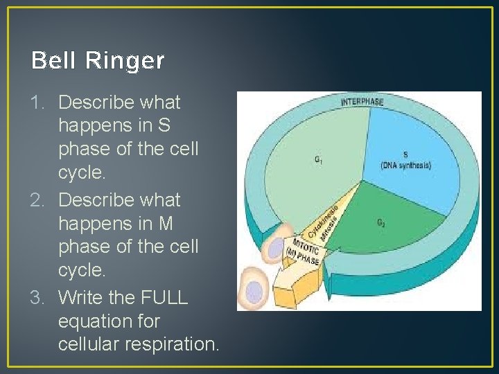 Bell Ringer 1 Of the images to the