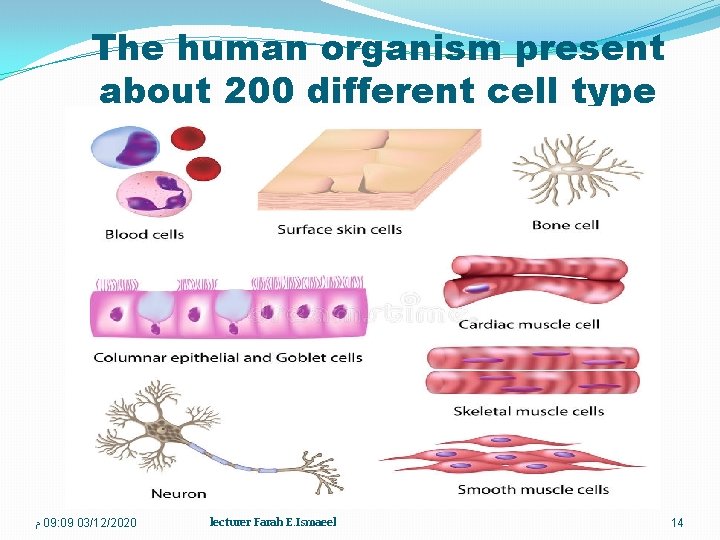 Medical biology cytology LEC 1 INTRODUCTION AND CELL