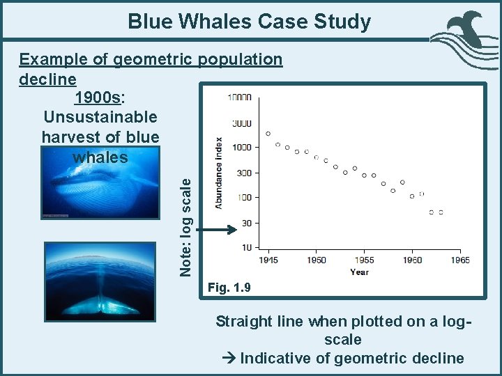 FW 364 Ecological Problem Solving Lab 3 Blue