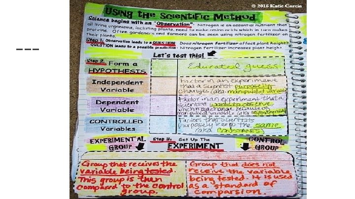 Scientific Method Interactive Notebook Notes Using the Scientific