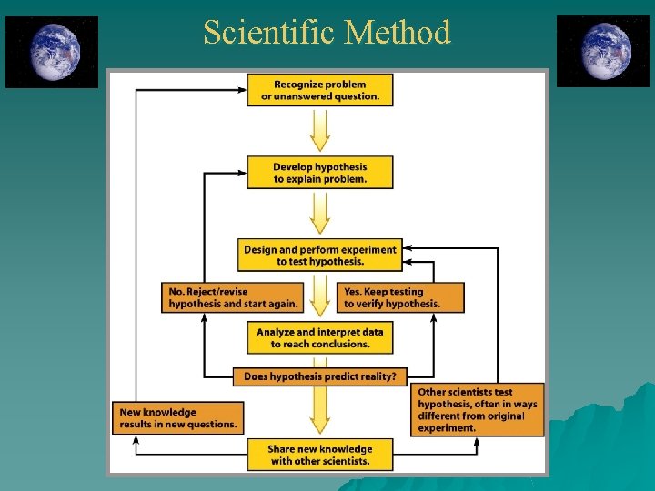 Chapter 1 Introducing Environmental Science and Stability Reading