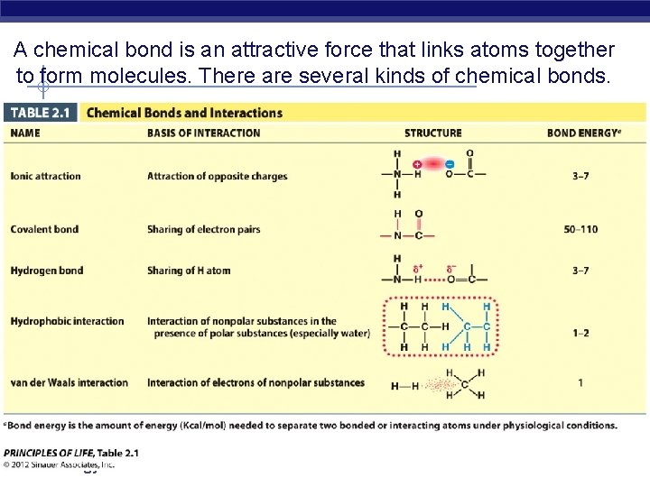 UNIT 1 BIOCHEMISTRY Part 1 Hillis Textbook Chapter