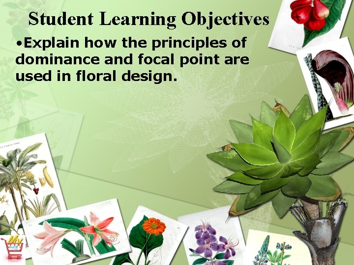 Student Learning Objectives Examine what is Floriculture Analyze