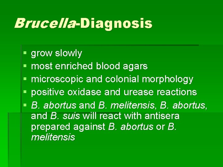 Brucella 1 Six species of Brucella 2 B