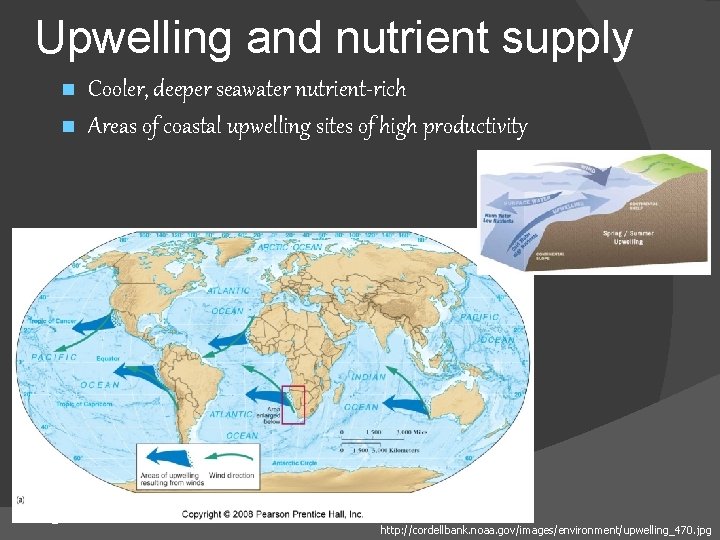 CHAPTER 13 Biological Productivity and Energy Transfer Fig