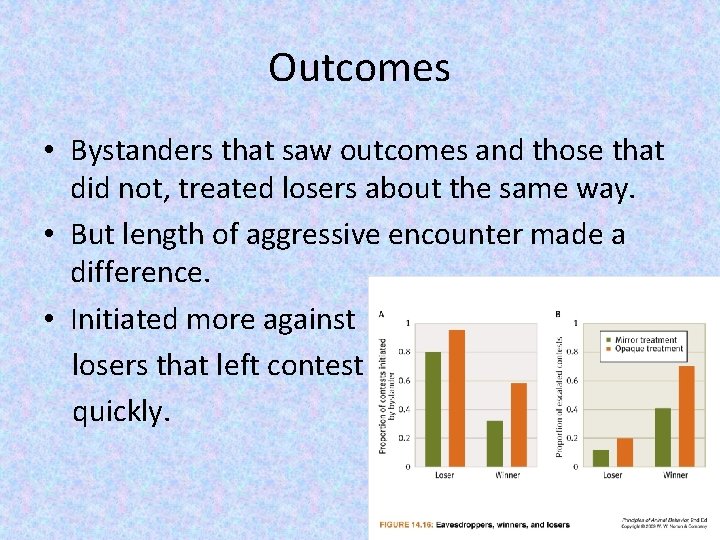 Bystander effects Ok lots of support for winner