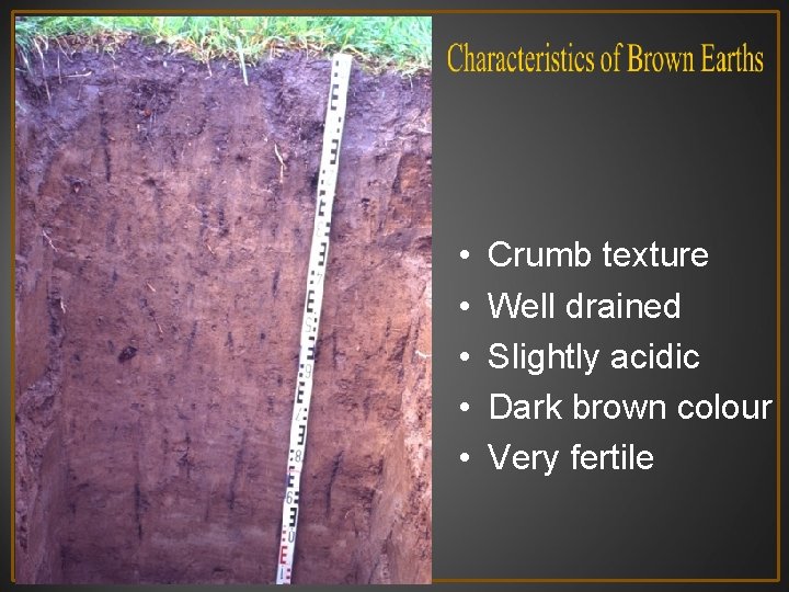 A detailed study of Brown Earths Geoecology section
