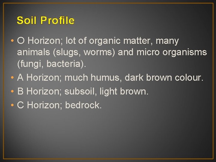 A detailed study of Brown Earths Geoecology section