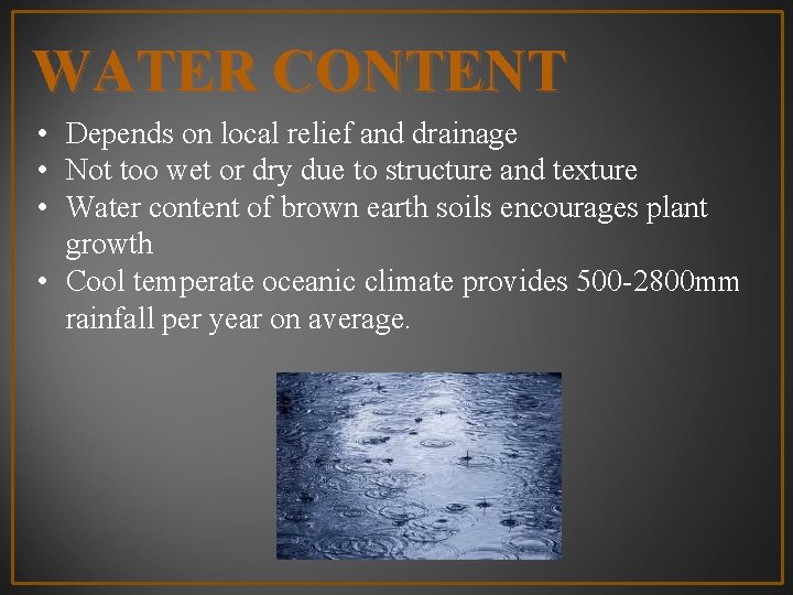 A detailed study of Brown Earths Geoecology section