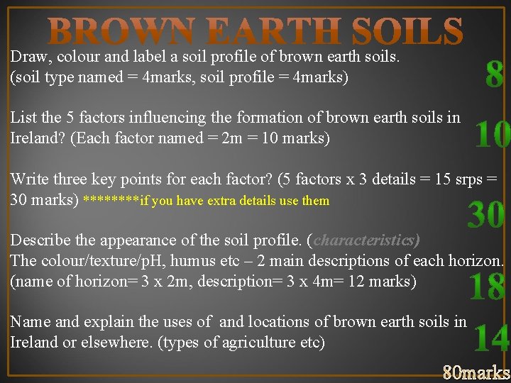A detailed study of Brown Earths Geoecology section