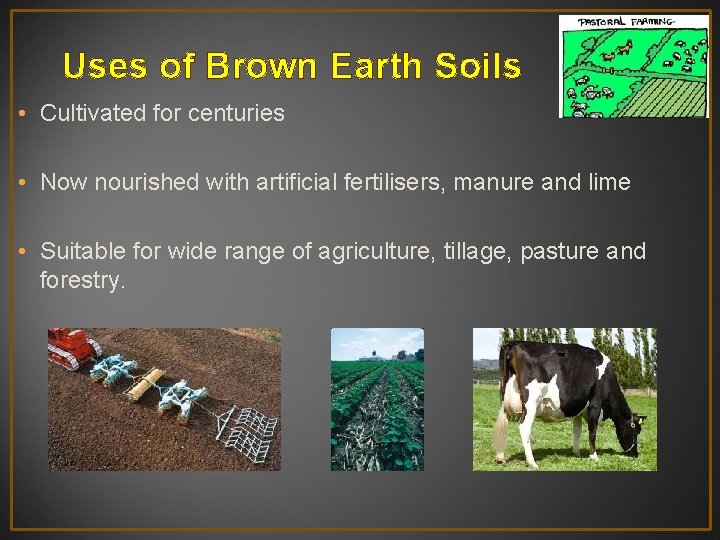 A detailed study of Brown Earths Geoecology section