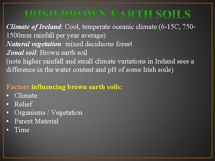 A detailed study of Brown Earths Geoecology section