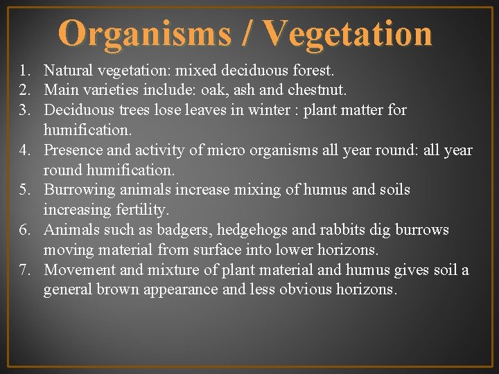 A detailed study of Brown Earths Geoecology section