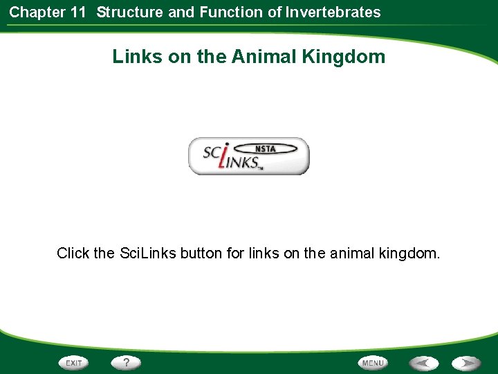 Chapter 11 Structure and Function of Invertebrates Table