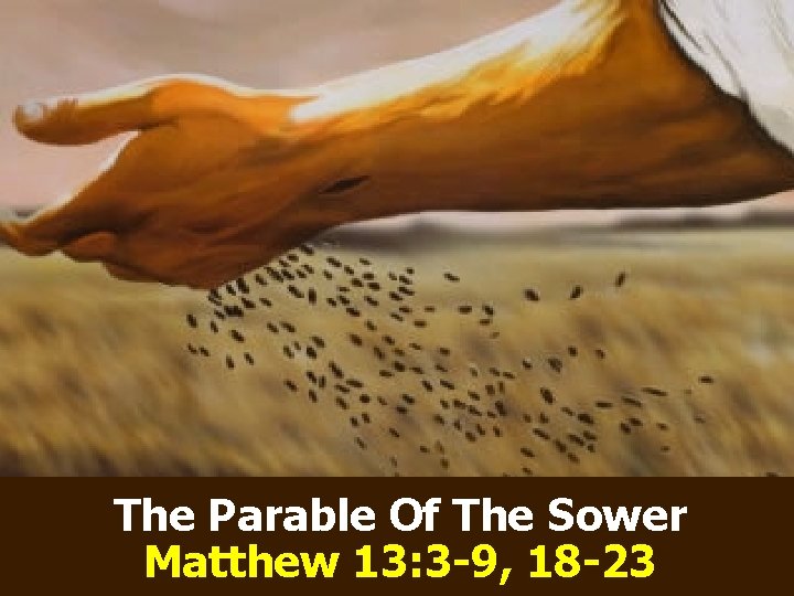 The Parable Of The Sower Matthew 13 3