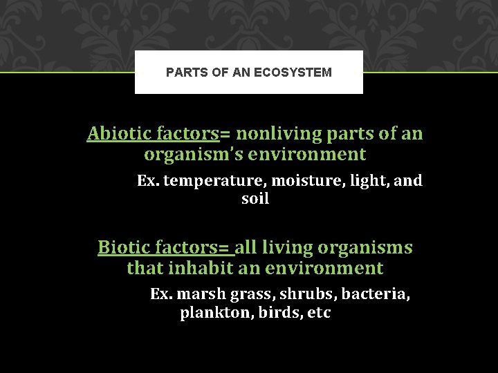 SPECIES INTERACTIONS AND COMMUNITY ECOLOGY THE BIG IDEA