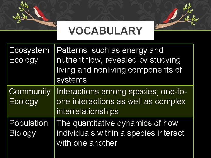 SPECIES INTERACTIONS AND COMMUNITY ECOLOGY THE BIG IDEA