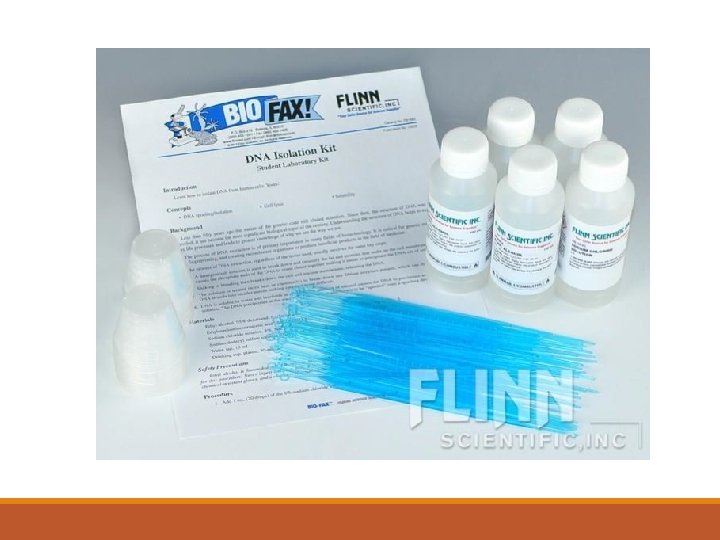 DNA Extraction Lab Activity ONLINE VERSION BY LIZ