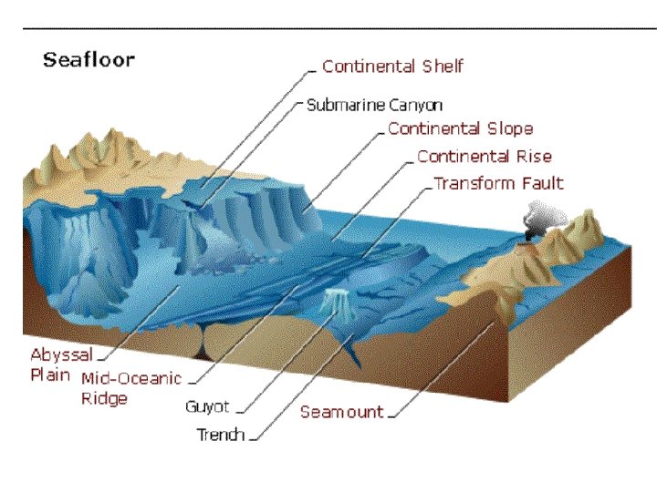Bathymetry and Sea Floor Topography CBGS Marine Science
