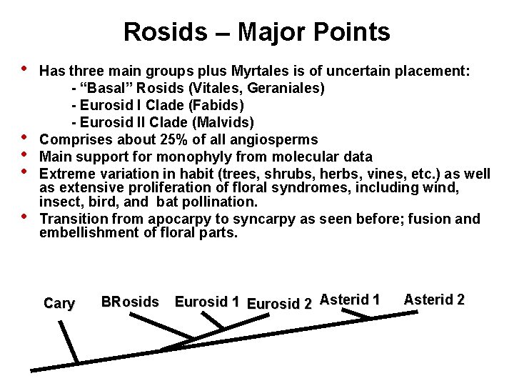 Rosids Part 1 Basal Rosids and Eurosids I