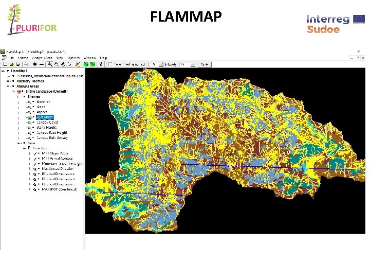 FLAMMAP FLAMMAP Analysis and mapping of wildfire behaviour
