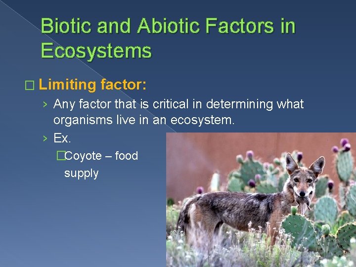 Science 10 Biology Chapter 2 Biotic and Abiotic