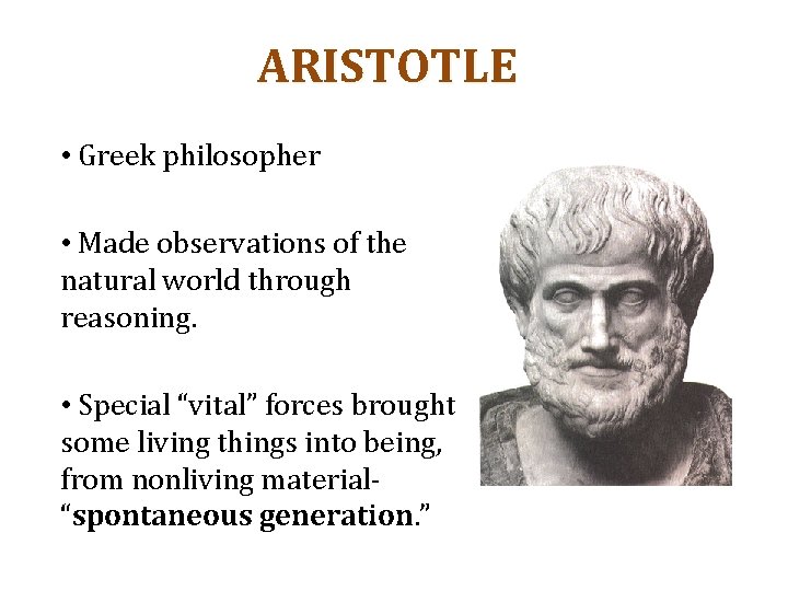 Early Scientists ARISTOTLE Greek philosopher Made observations of