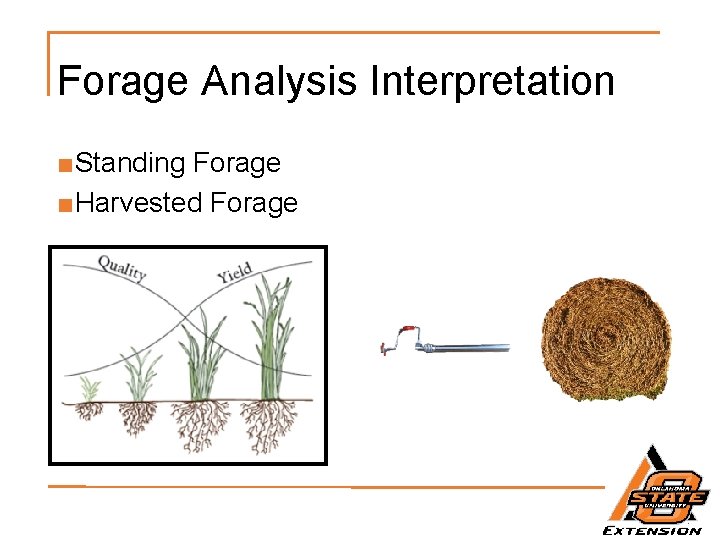 Livestock Nutrition Support Offered by County Extension Offices