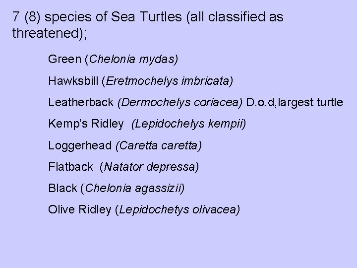 Chapter 9 Marine Reptiles Birds and Mammals Vertebrates