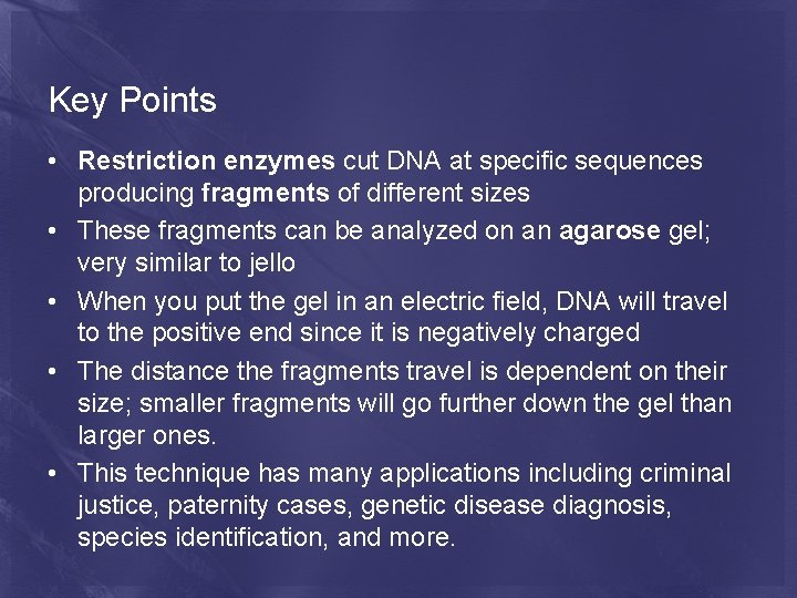 DNA Fingerprinting Lesson Plan Marina Webb Biotechnology Workshop