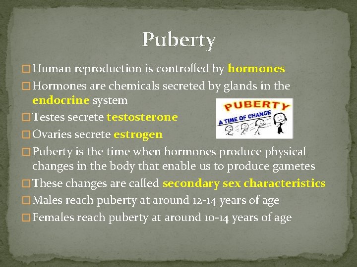 Human Reproduction UPCO Chapter 21 Puberty Human reproduction
