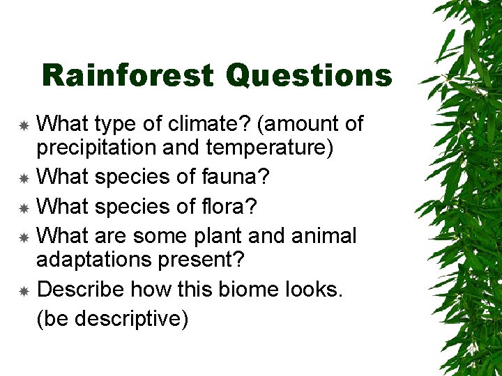 Land Biomes 5 th Grade Presented by Todd