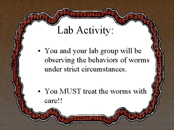 Earthworm Behavior Lab Biology Knowledge of Earthworms What