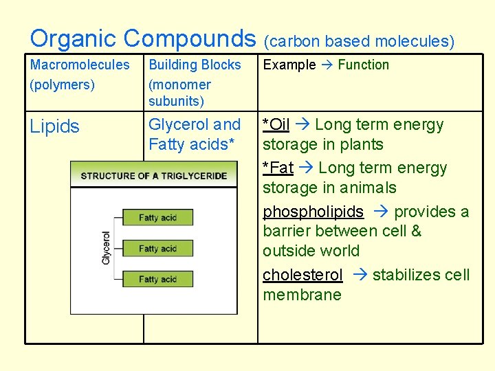 Notes Macromolecule Table Objective Cell biology standard 1